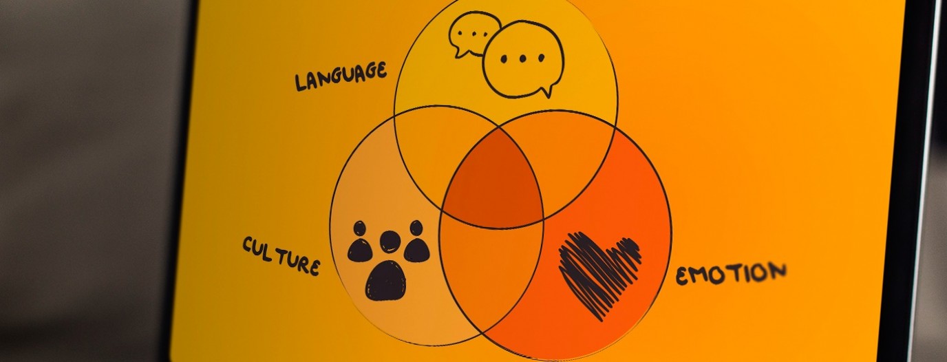 Transcréation, adaptez le message publicitaire à votre cible